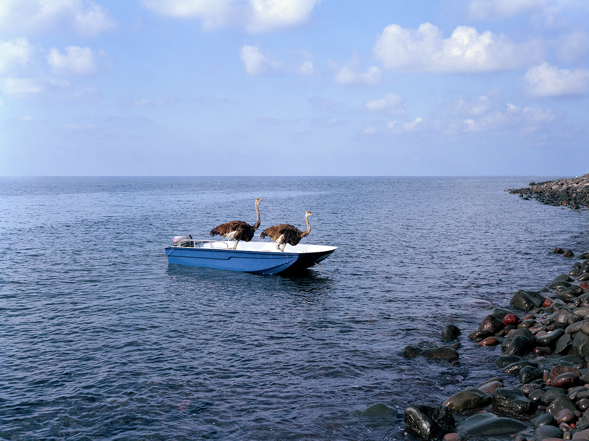 Paola Pivi: wandering through a career driven by bold decisions - https://more-so.com